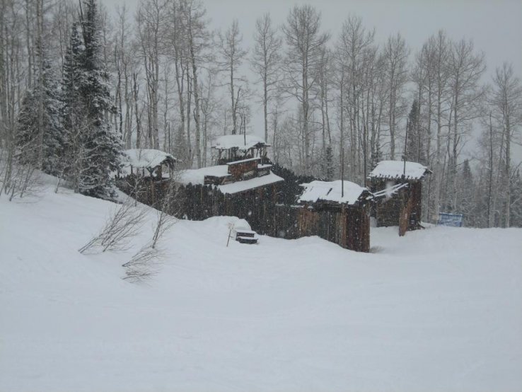 Fort Frog (Old) (Buttermilk)