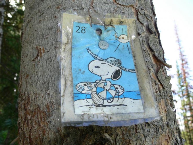 The Snoopy Shrine (Aspen Mountain)