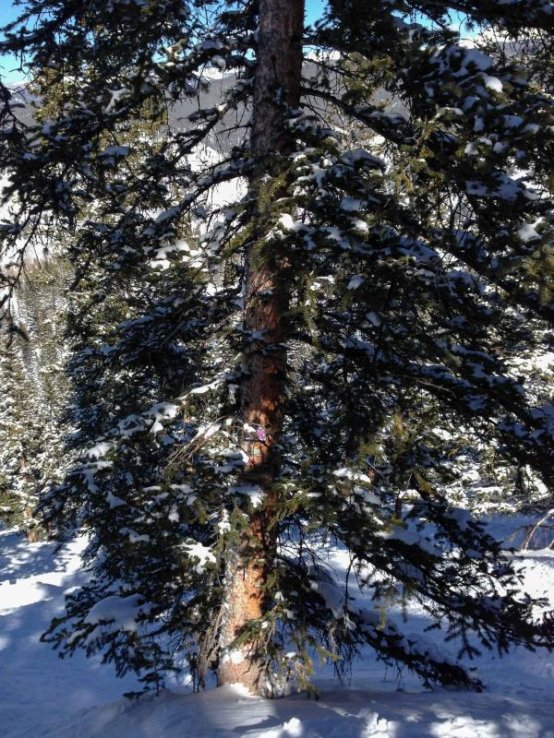 The Patti Seifert (Patti's Paradise) Shrine (Aspen Mountain)
