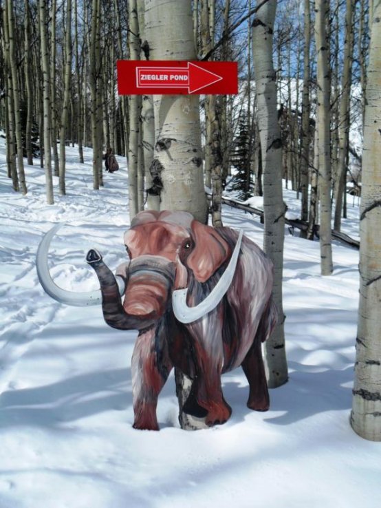 The Woolly Mammoth Trail (Snowmass)