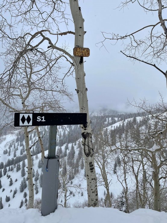 The Rock Gully Sign (Aspen Mountain)
