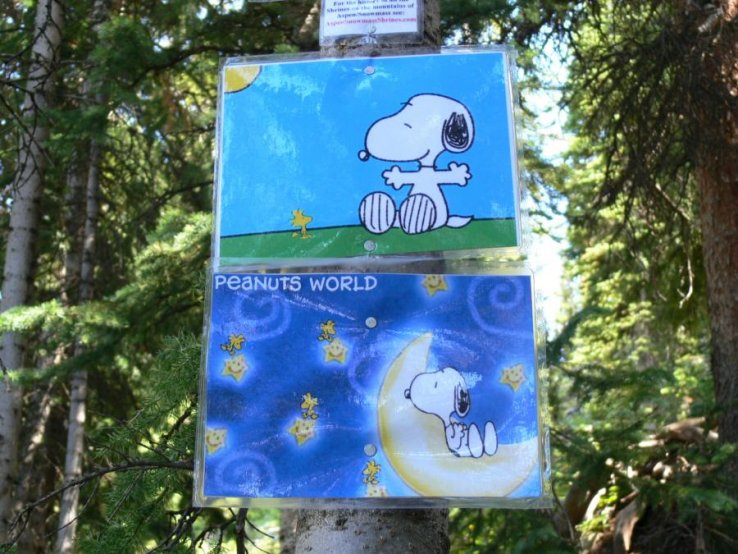The Snoopy Shrine (Aspen Mountain)