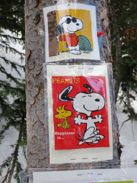 The Snoopy Shrine (Aspen Mountain)