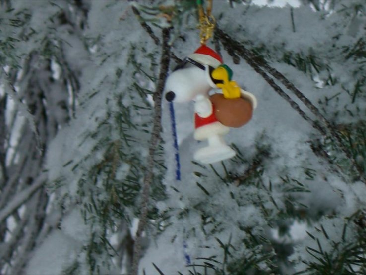 The Snoopy Shrine (Aspen Mountain)