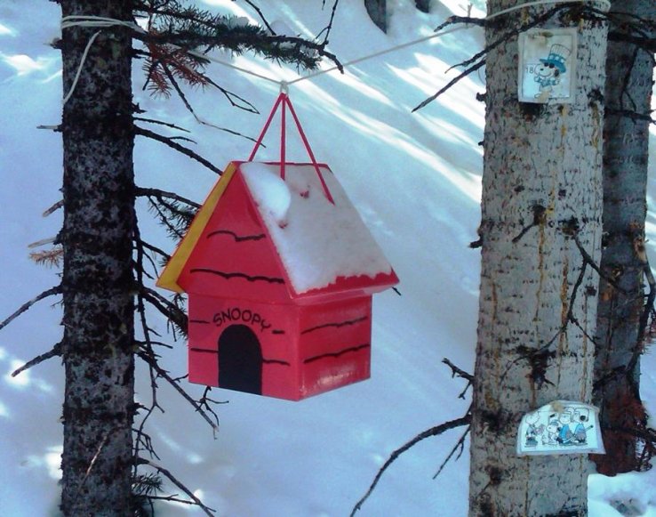 The Snoopy Shrine (Aspen Mountain)