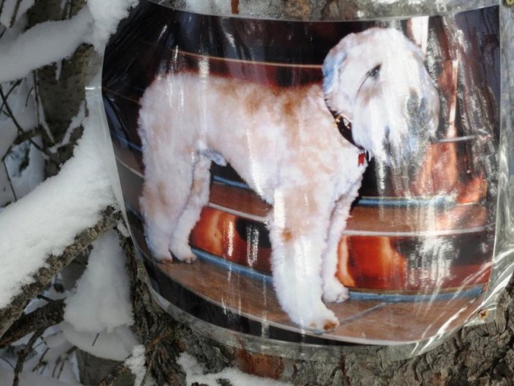 The Mazik Shrine (Snowmass)